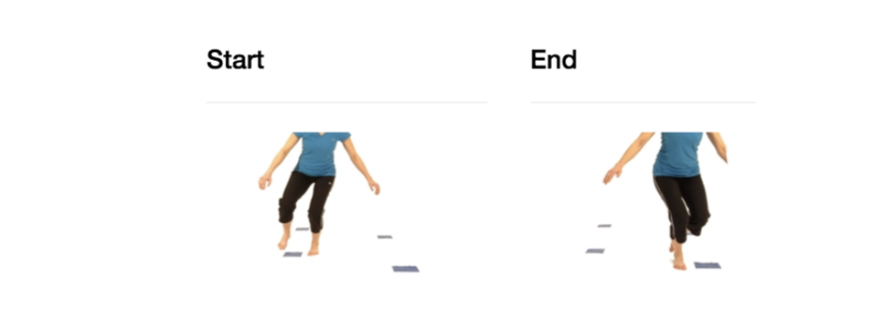 4 point hops ankle exercise - Dogfit Blog