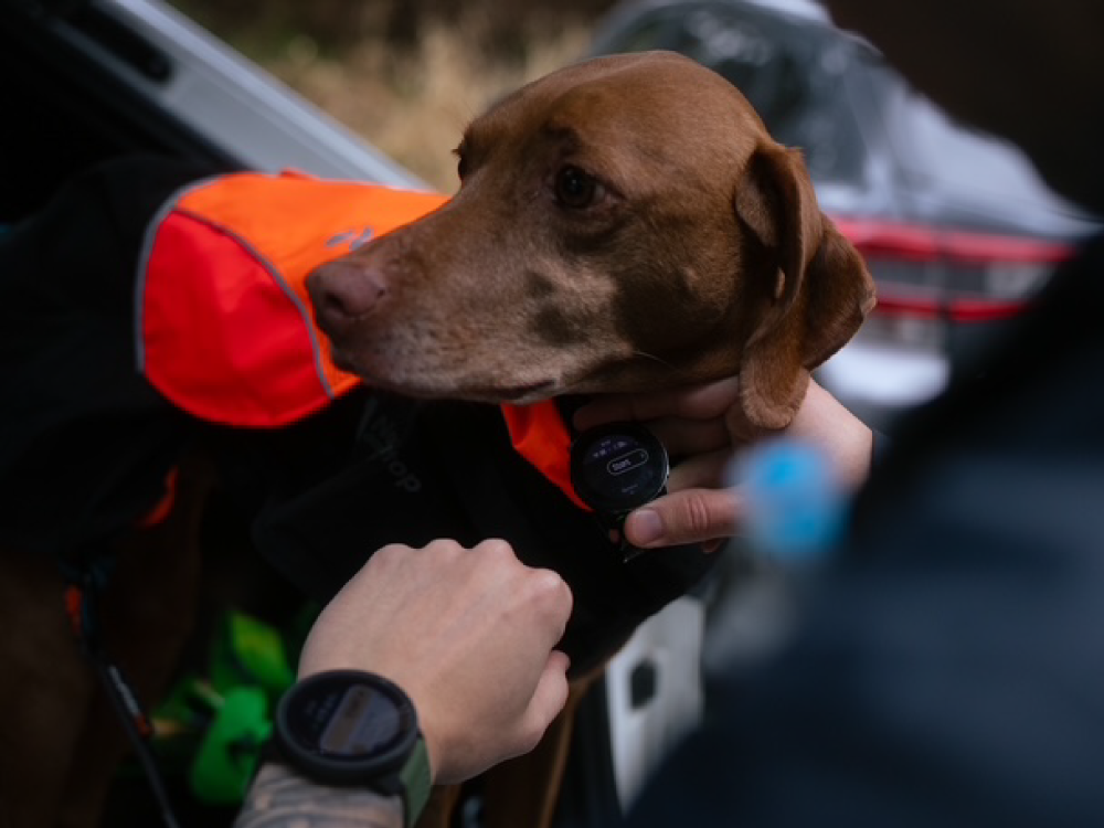 Evan Birch & Super Nova - the Ultra Ultra Canicross Dog - Dogfit Blog